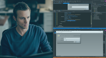 Playbook WPF 4: Creating Flexible WPF Business Application Screens | My Mooc