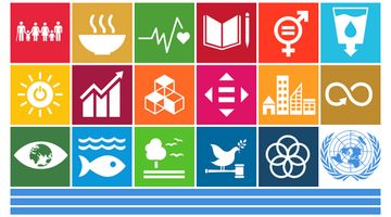 The UN Sustainable Development Goals: an Interdisciplinary Academic ...
