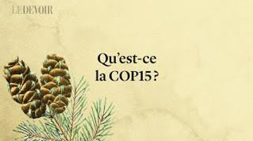 Comprendre La Cop15 En Cinq Points My Mooc