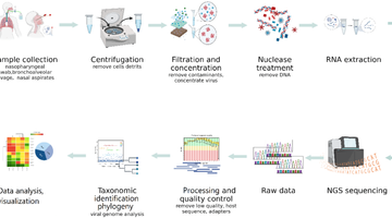 Next Generation Sequencing (NGS) for influenza and SARS-CoV-2: From ...