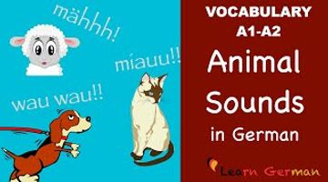 Learn German | German Vocabulary | Tiergeräusche | Animal Sounds | A1 ...